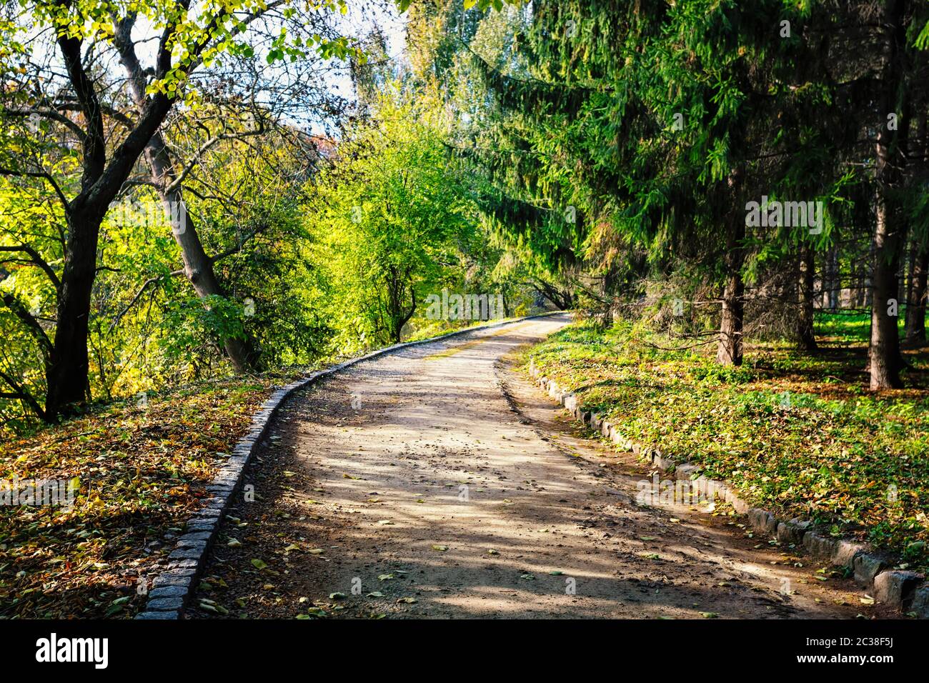 Asphalt path in a green park. Summer landscape. The concept of movement ...