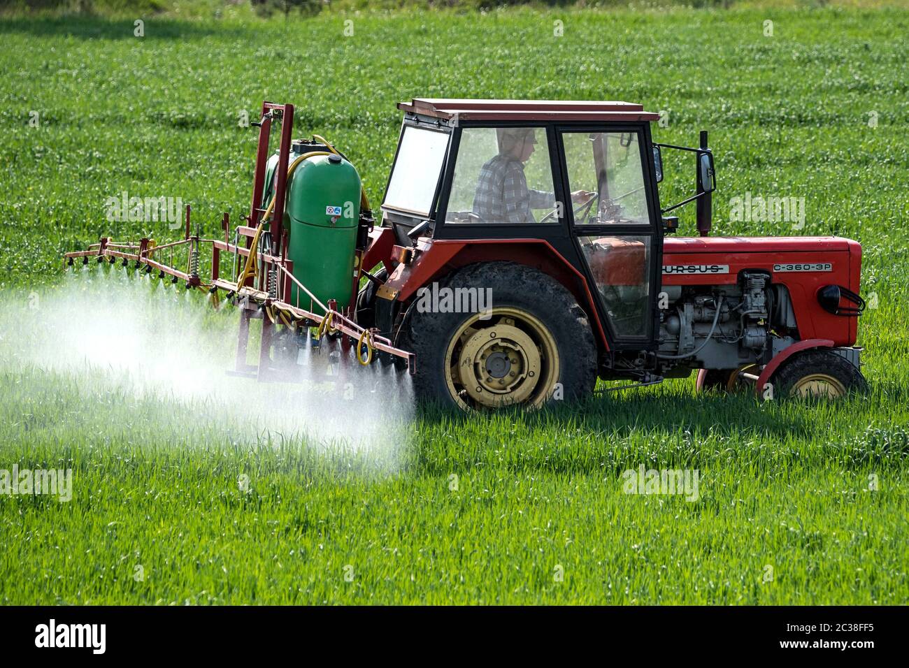 Spraying the field with growing grain. Crop protection against pests ...