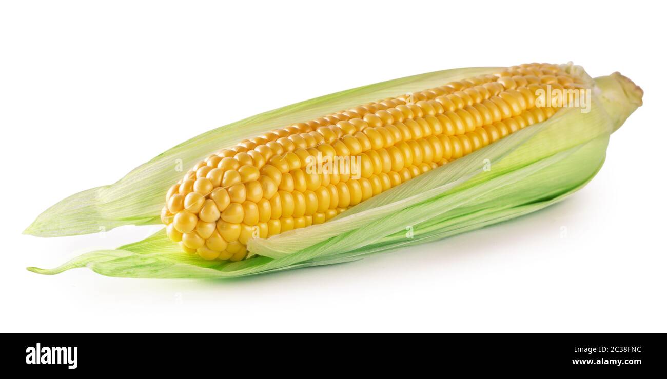 Ripe corn in leaves isolated on white background Stock Photo - Alamy