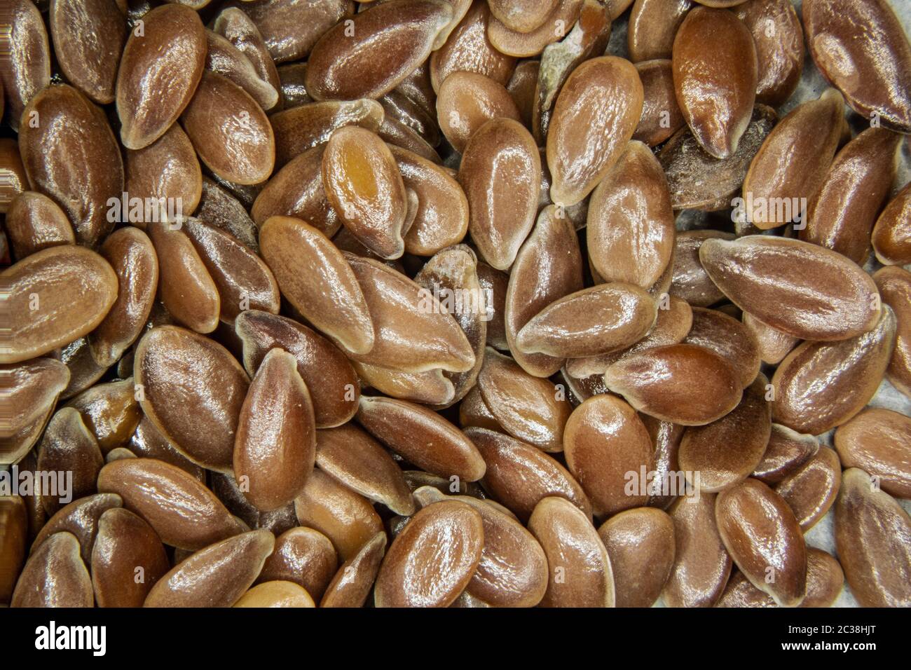 Seeds under glass hi-res stock photography and images - Alamy