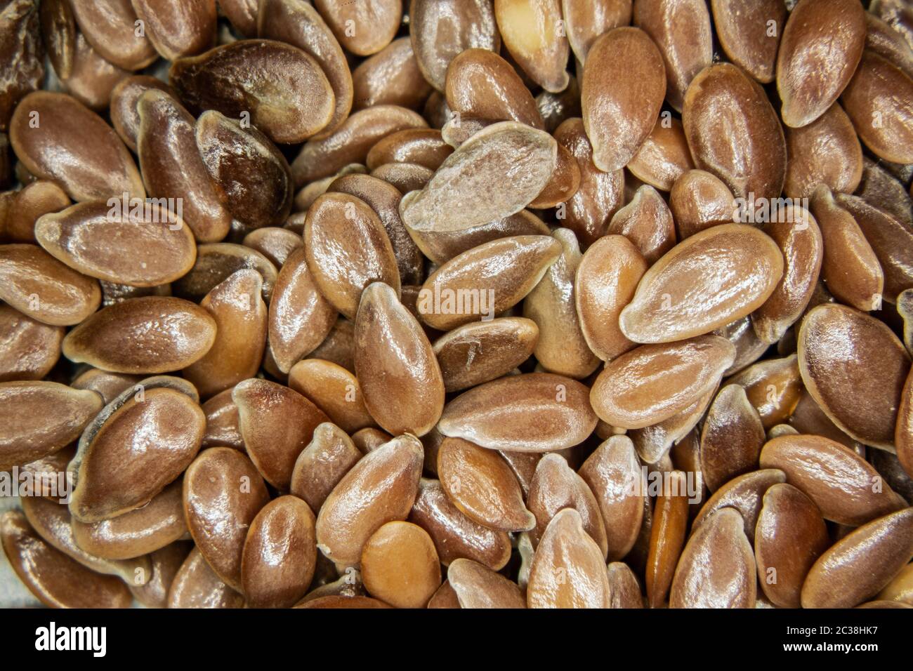 Seeds under glass hi-res stock photography and images - Alamy