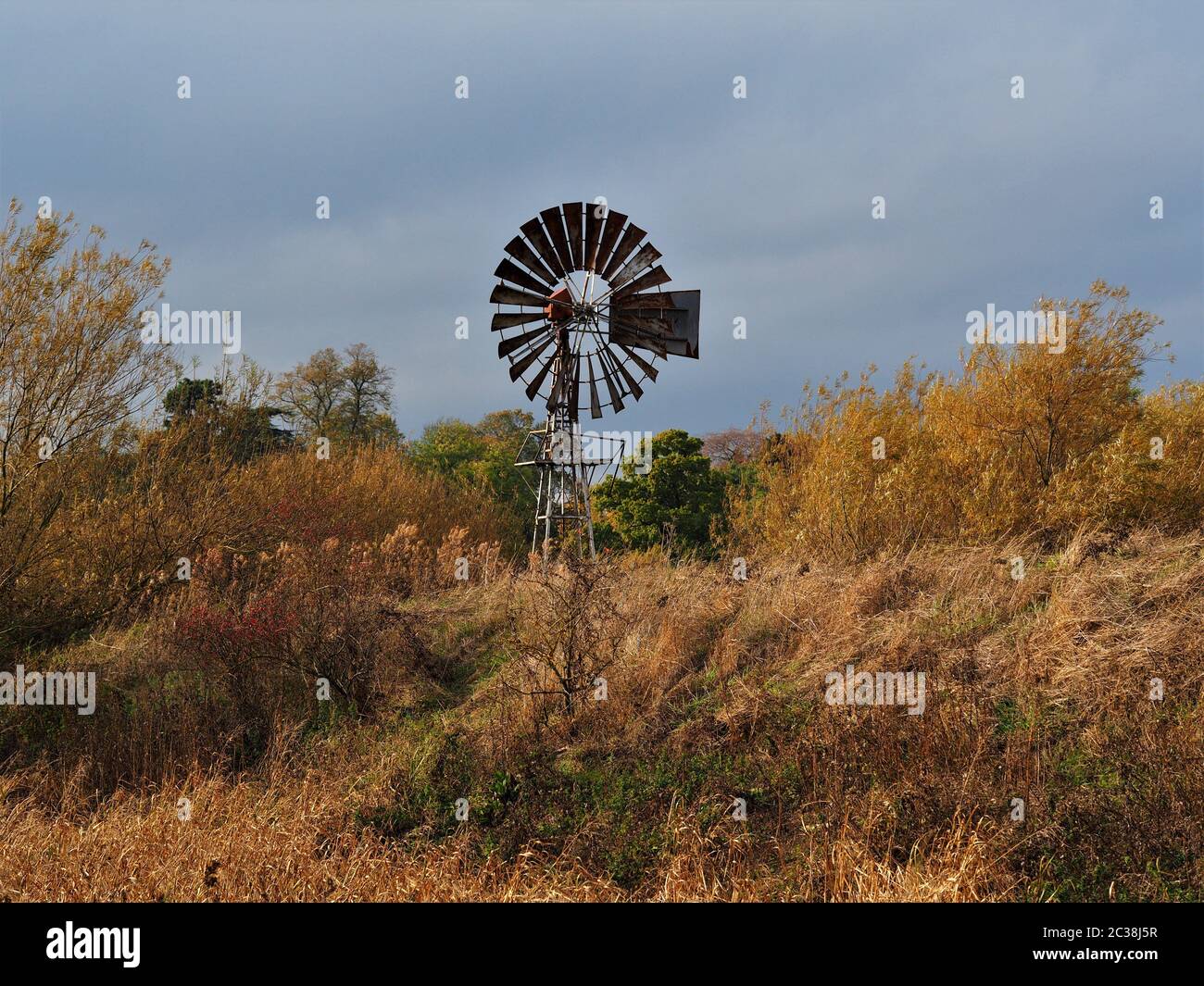 Wheldrake ings hi-res stock photography and images - Alamy