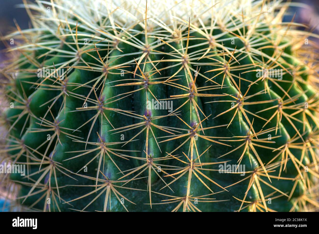 Nivdung hi-res stock photography and images - Alamy