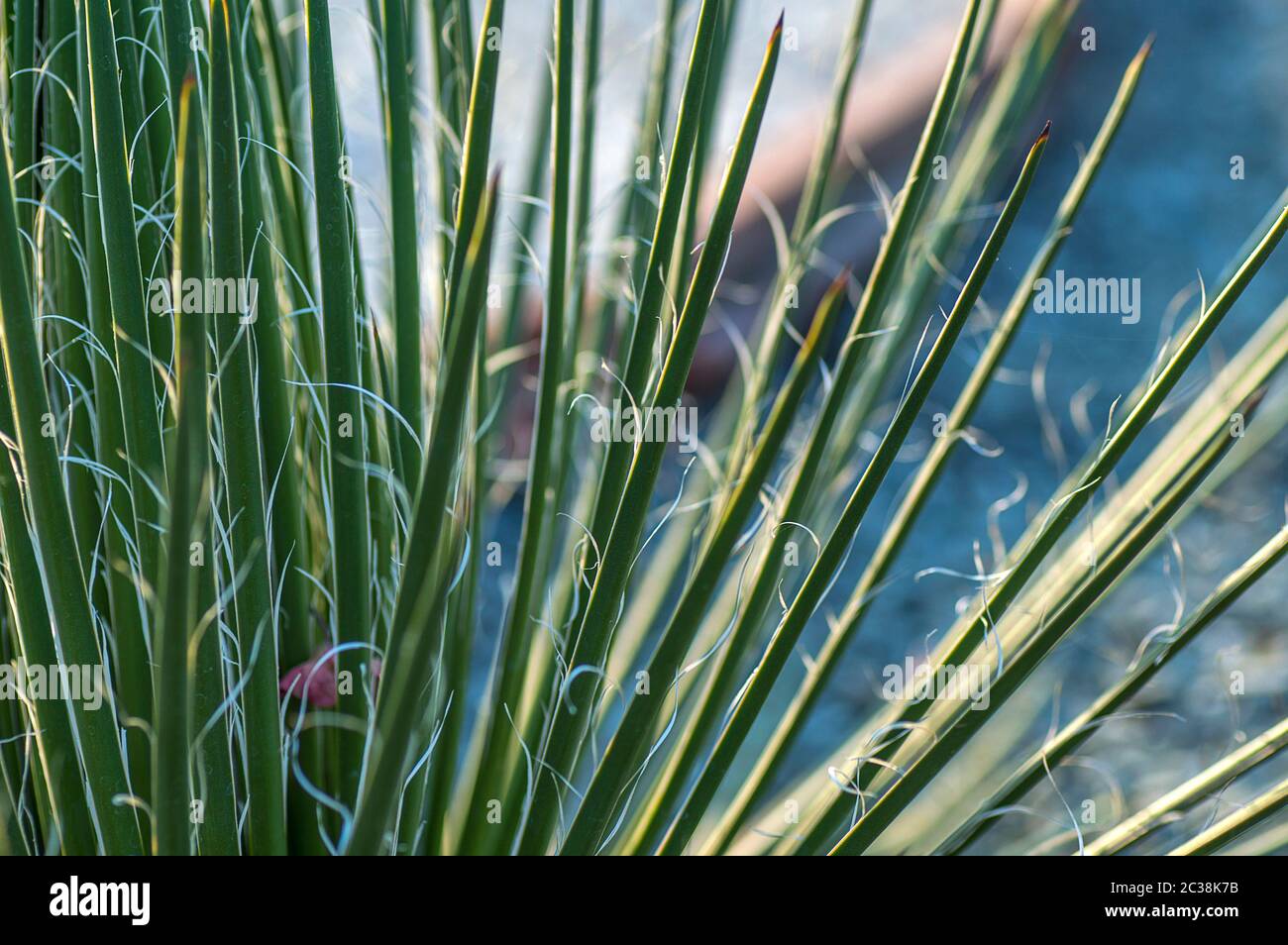 Nivdung hi-res stock photography and images - Alamy