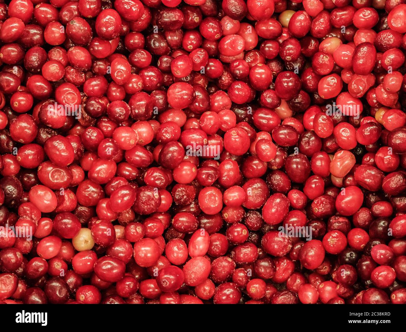 Frozen red berries in the refrigerator in the store Stock Photo - Alamy