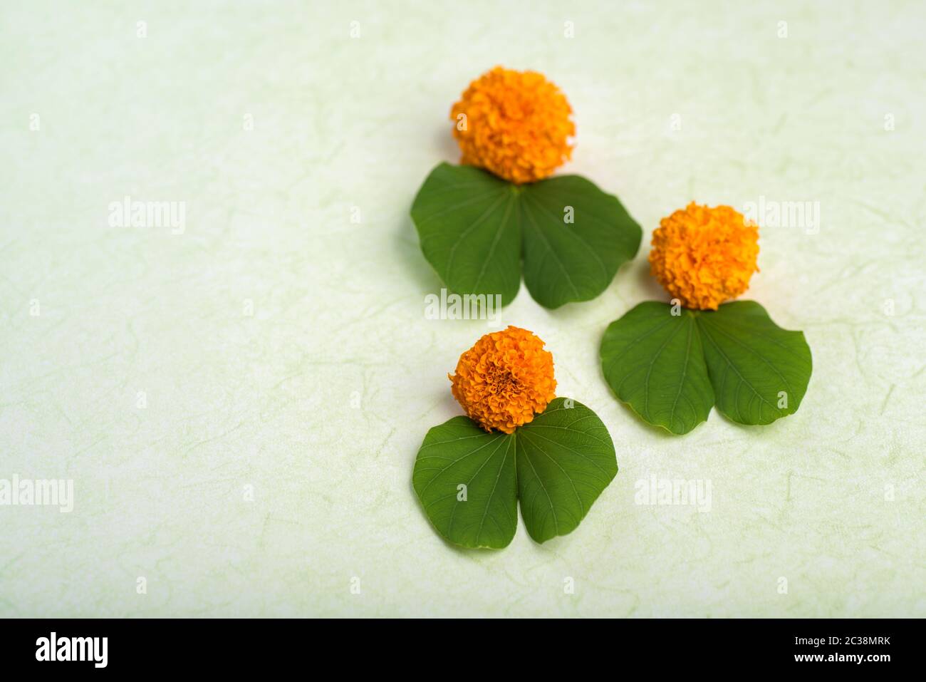 Indian Festival Dussehra, showing golden leaf (Bauhinia racemosa) and ...