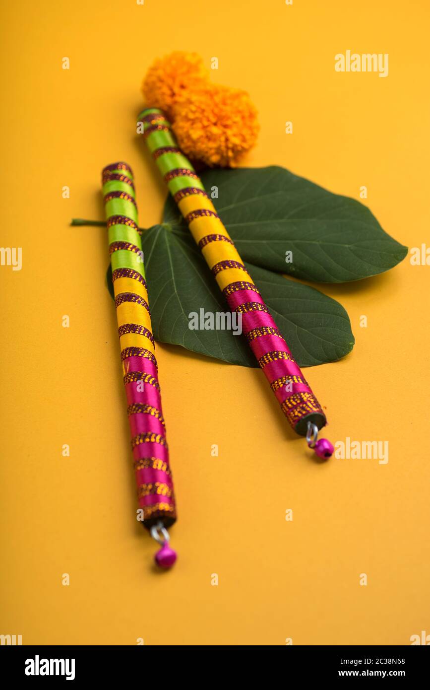Indian Festival Dussehra and Navratri, showing golden leaf (Bauhinia ...