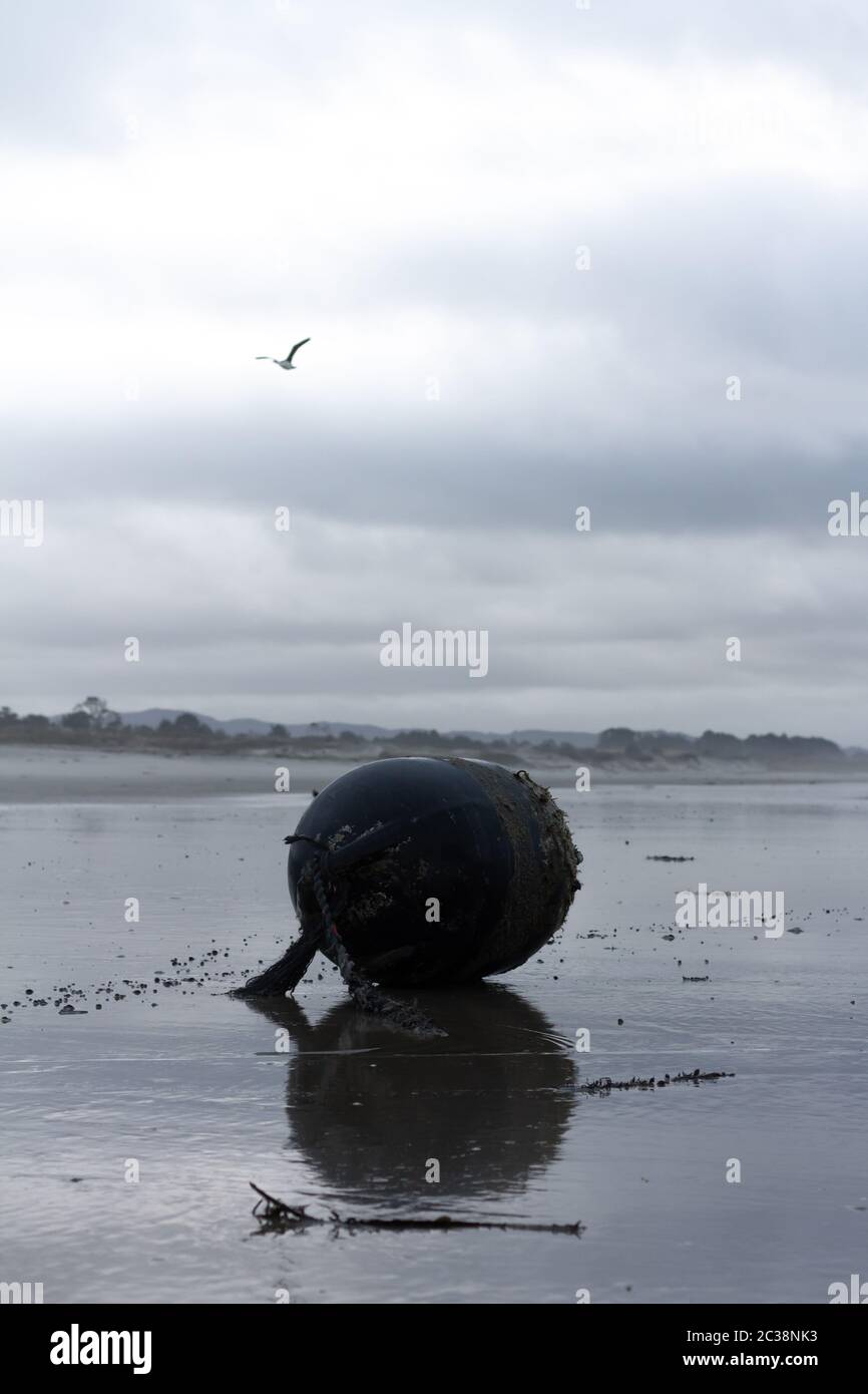 Washed Up Buoy High Resolution Stock Photography and Images - Alamy
