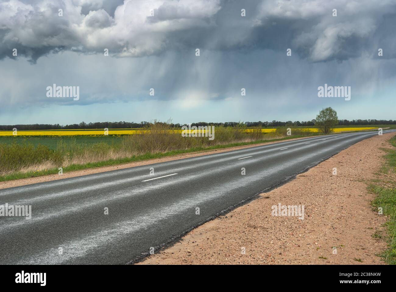 Wet asphalt road beatween fields Stock Photo - Alamy