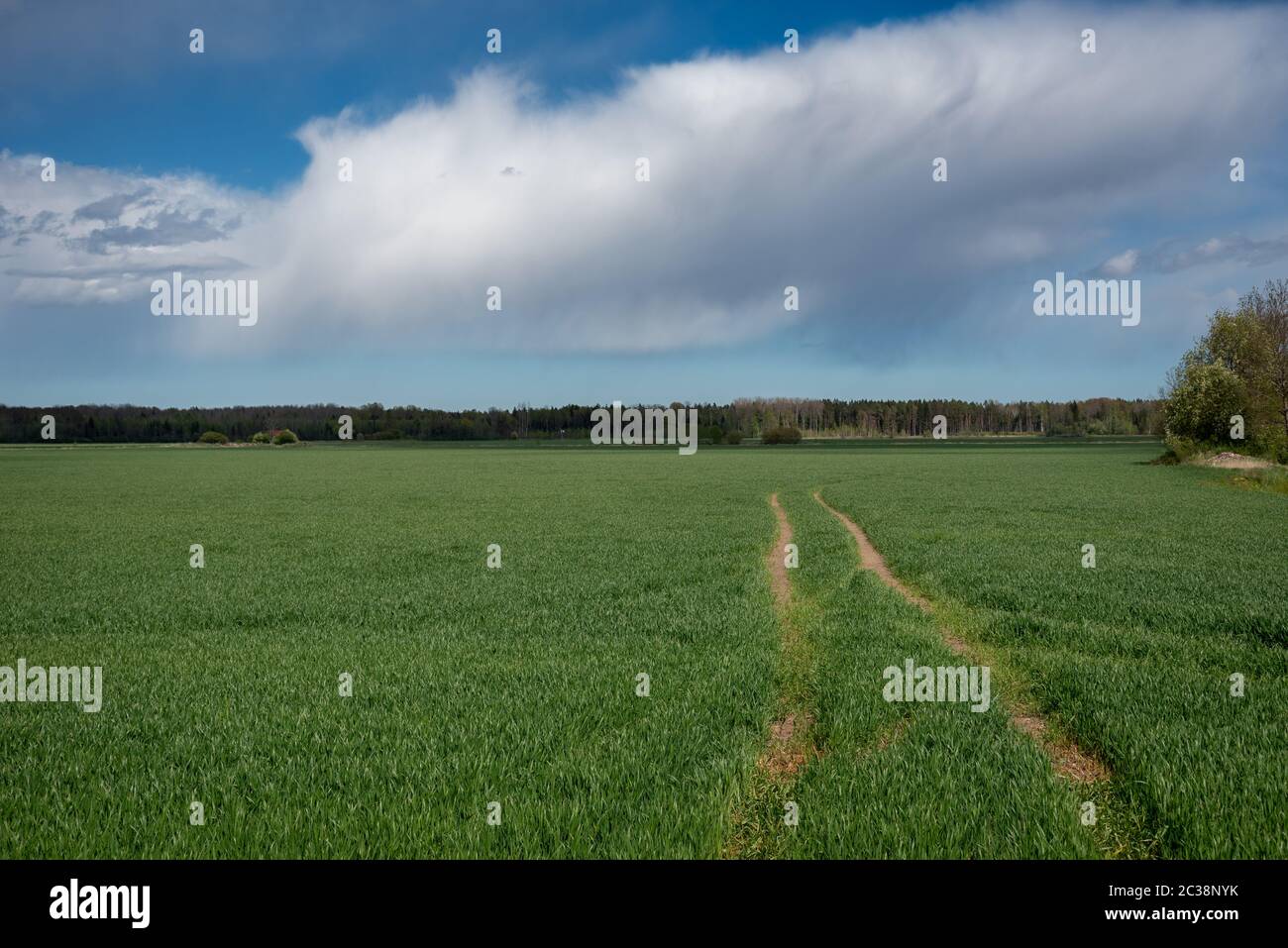 View to the field in countryside Stock Photo - Alamy