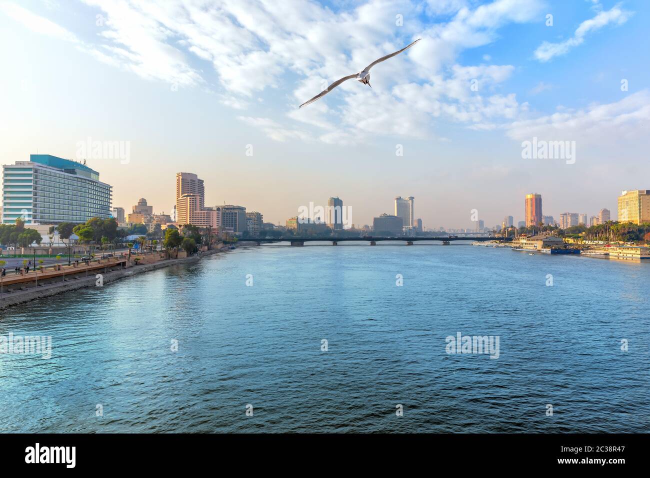 View of the Nile in the downtown of Cairo, Egypt Stock Photo - Alamy