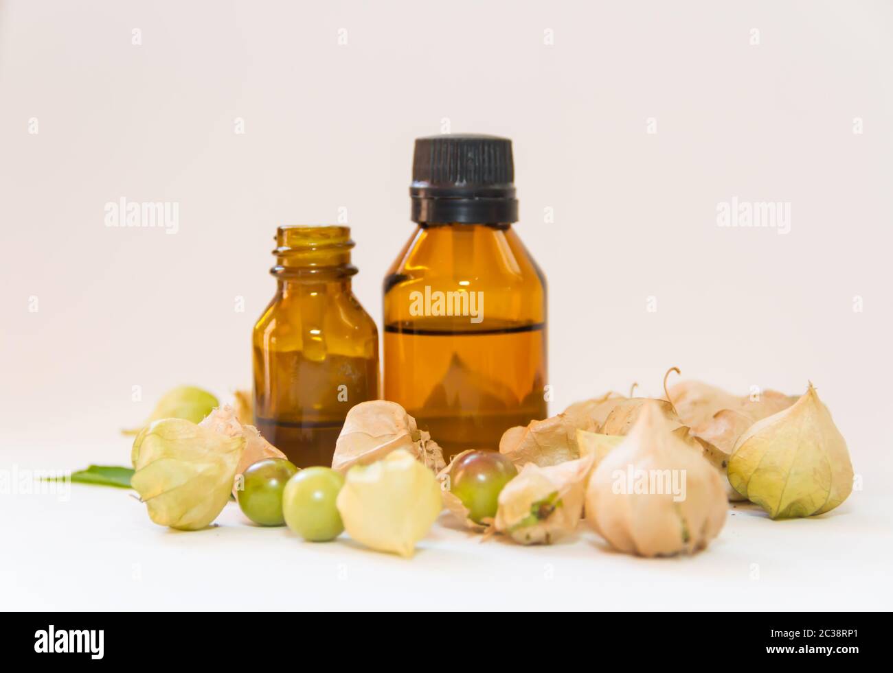 Cardiospermum hi-res stock photography and images - Alamy