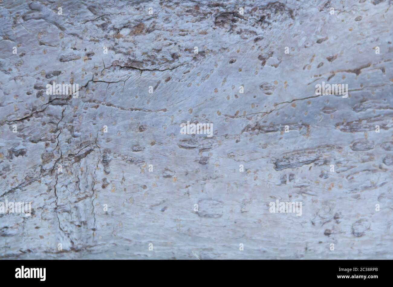 rustic texture of dry tree bark background Stock Photo - Alamy