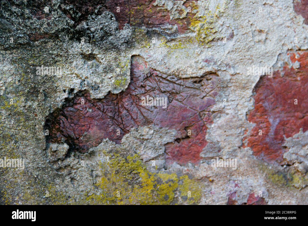 background with texture of old wall with mold and paint colors Stock ...