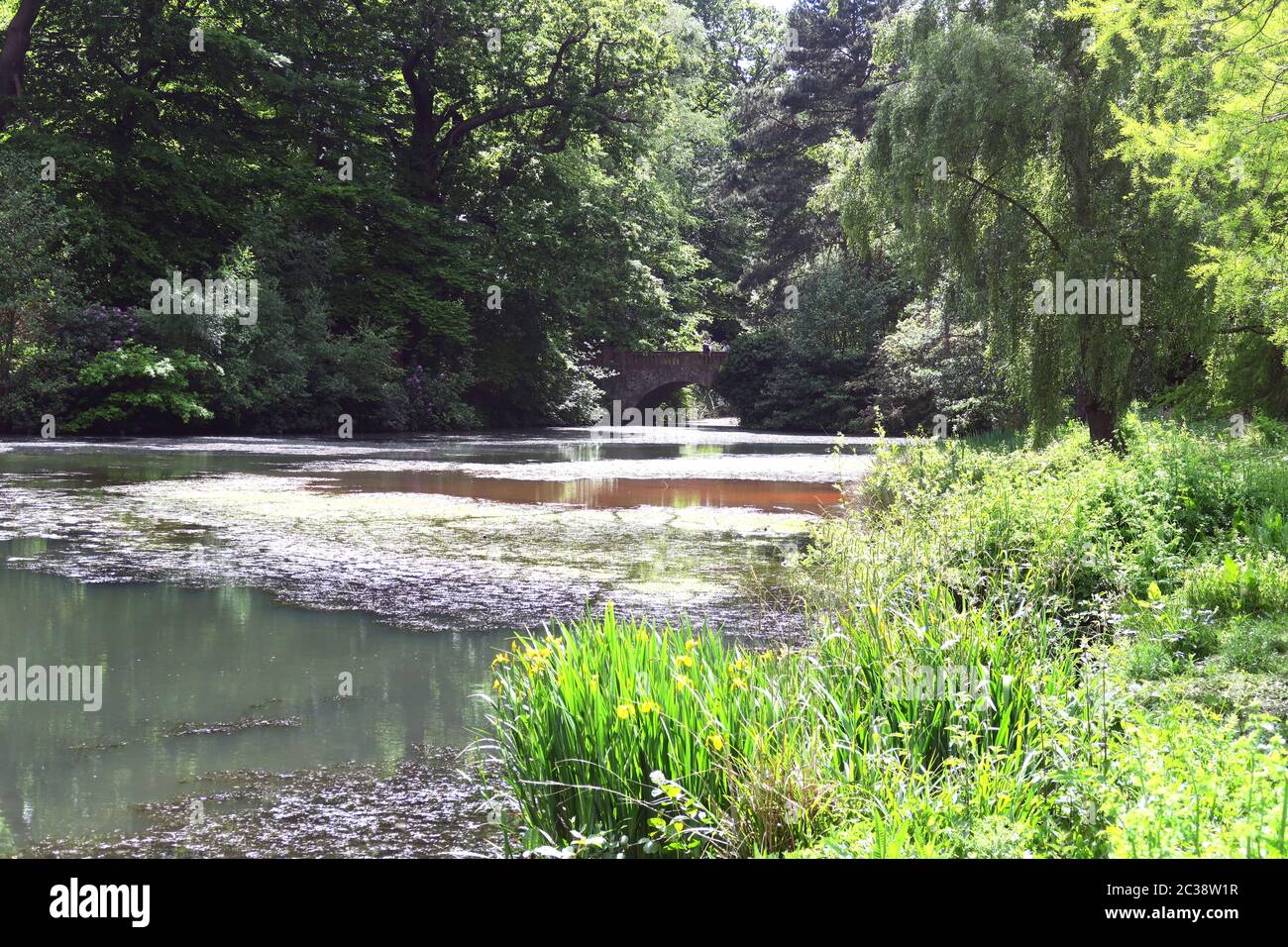 Repton bridge hi-res stock photography and images - Alamy