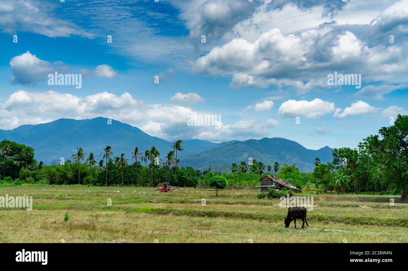 Mixed Farming High Resolution Stock Photography and Images - Alamy