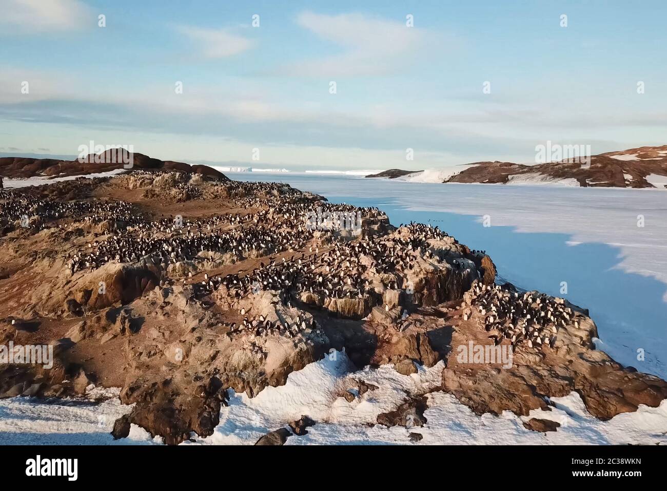 Colonies of penguins in Antarctica on the adjacent rocks Stock Photo ...