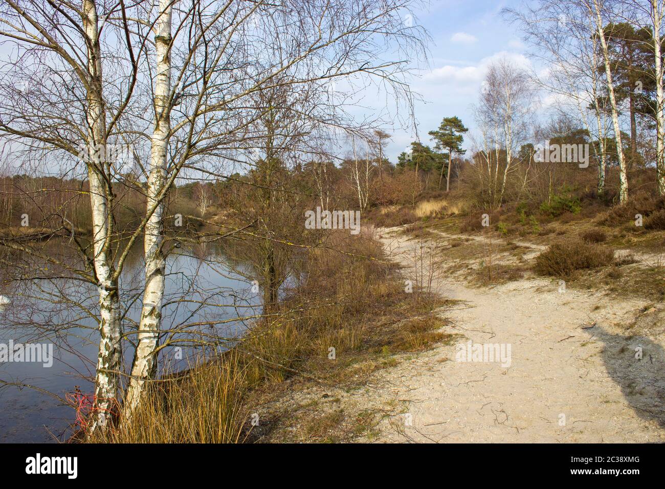 National Park Maasduinen in the Netherlands Stock Photo - Alamy