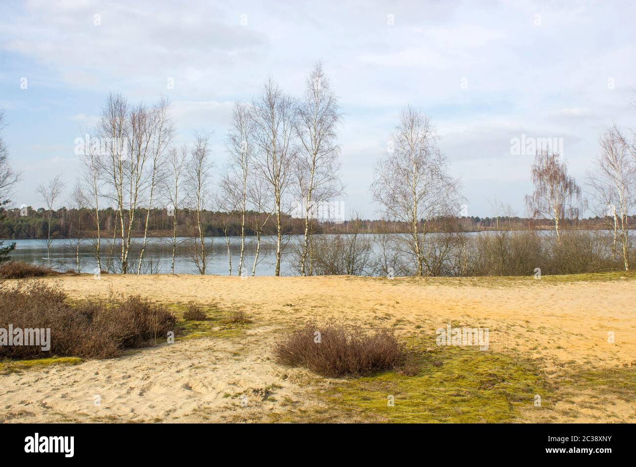 National Park Maasduinen in the Netherlands Stock Photo - Alamy