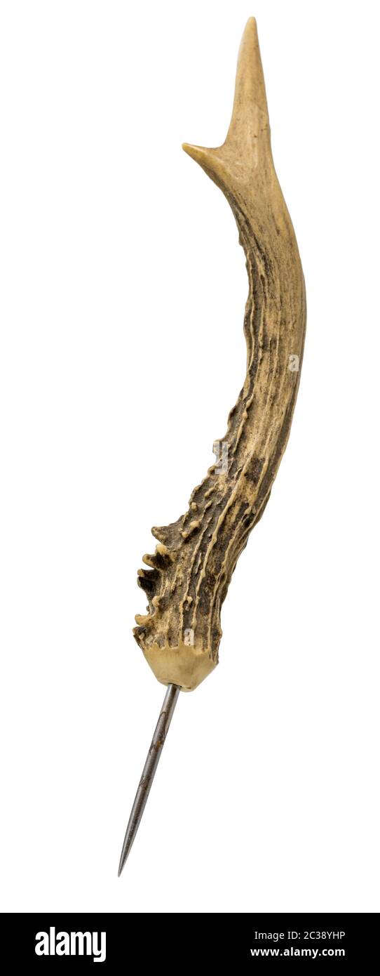 Sewing awl of the North American Indians made of stag horn with metal ...