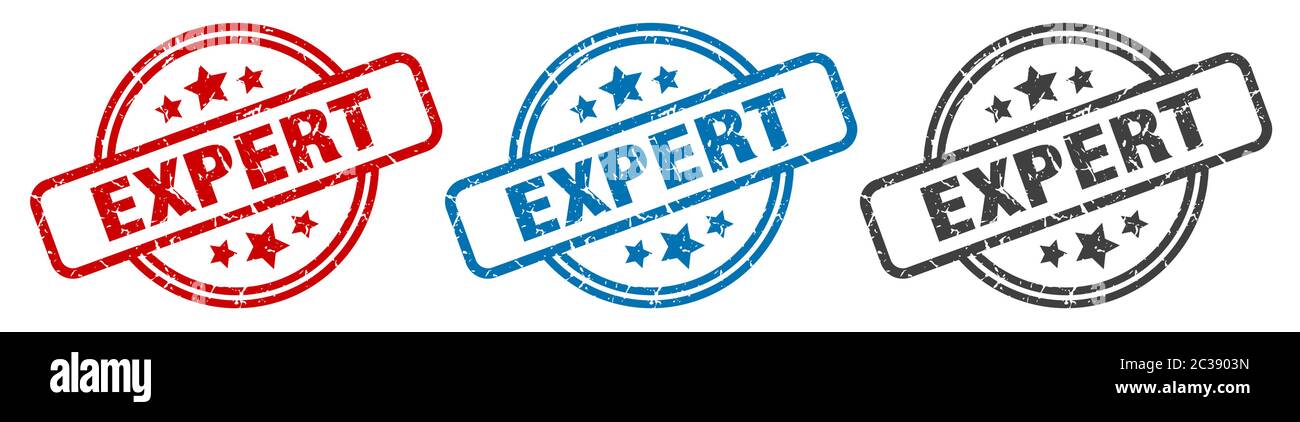 expert stamp. expert round isolated sign. expert label set Stock Vector ...