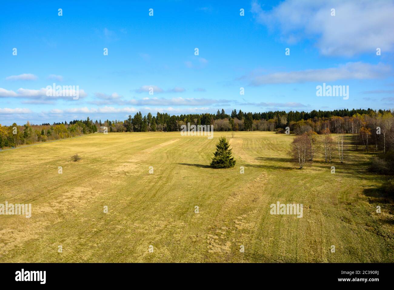 Green big meadow from above, with trees, forest and blue sky in the ...