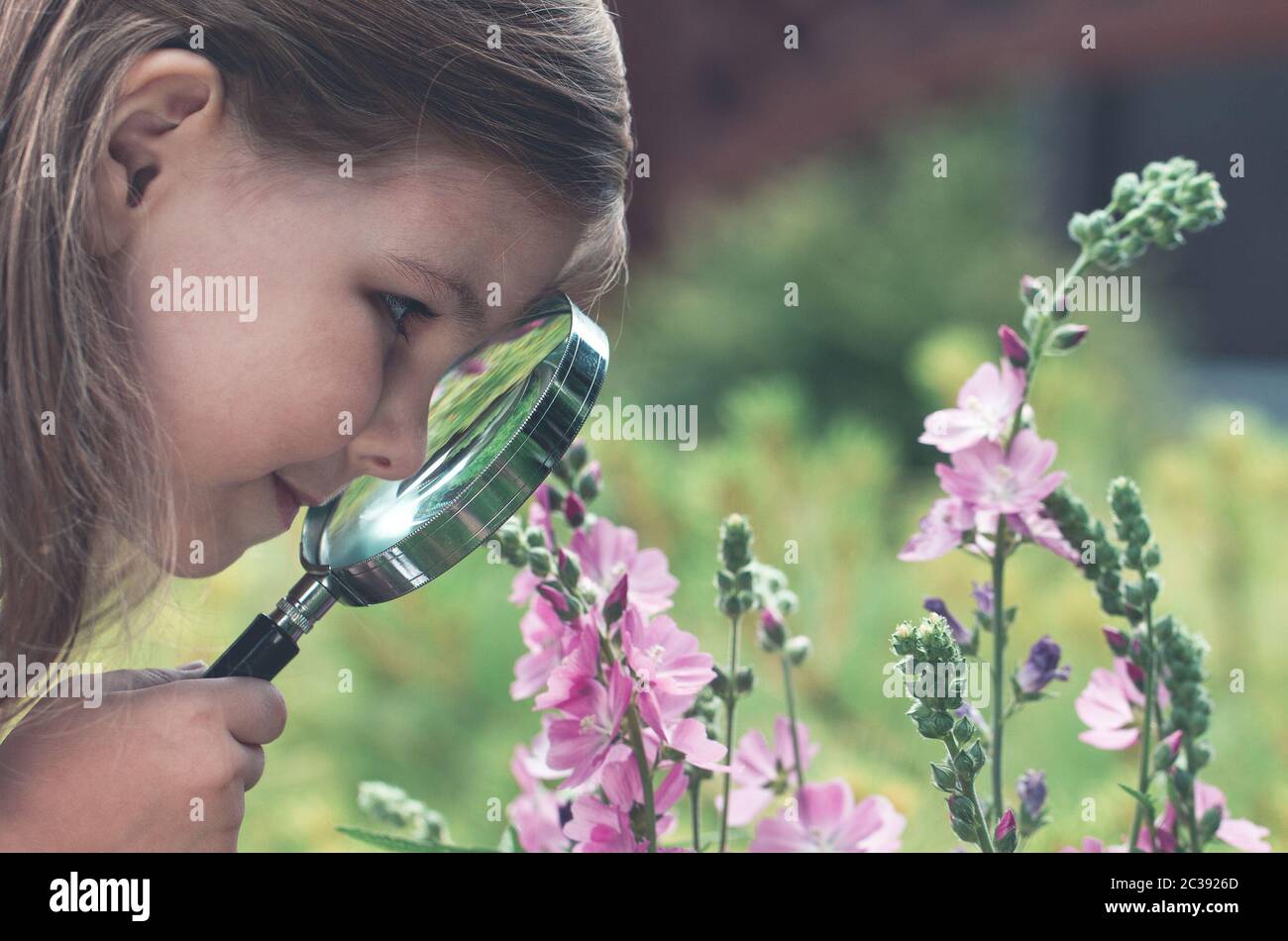 Curious girl exploring flowers with magnifying glass Stock Photo - Alamy