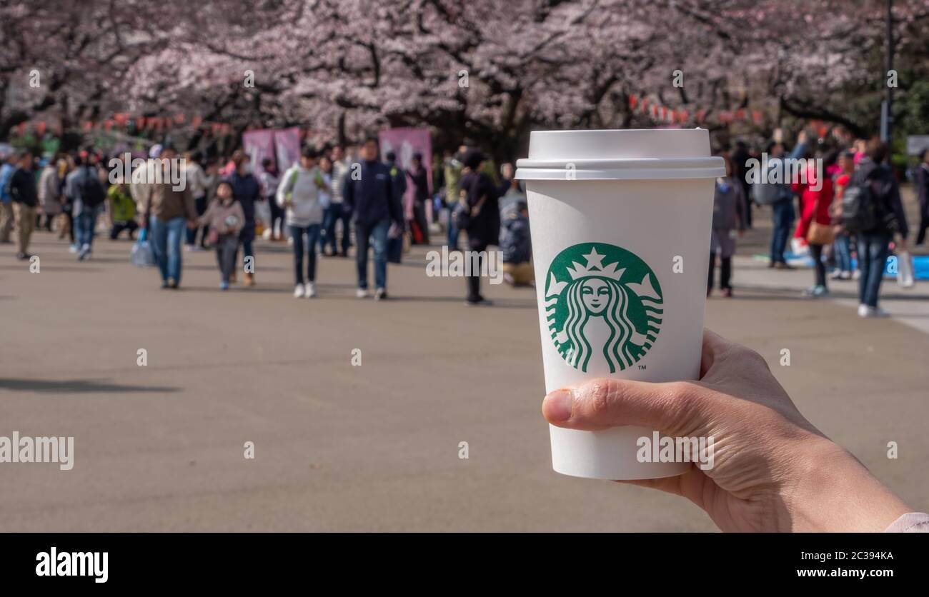 Female hand holding take away Starbucks coffee with cherry blossom ...