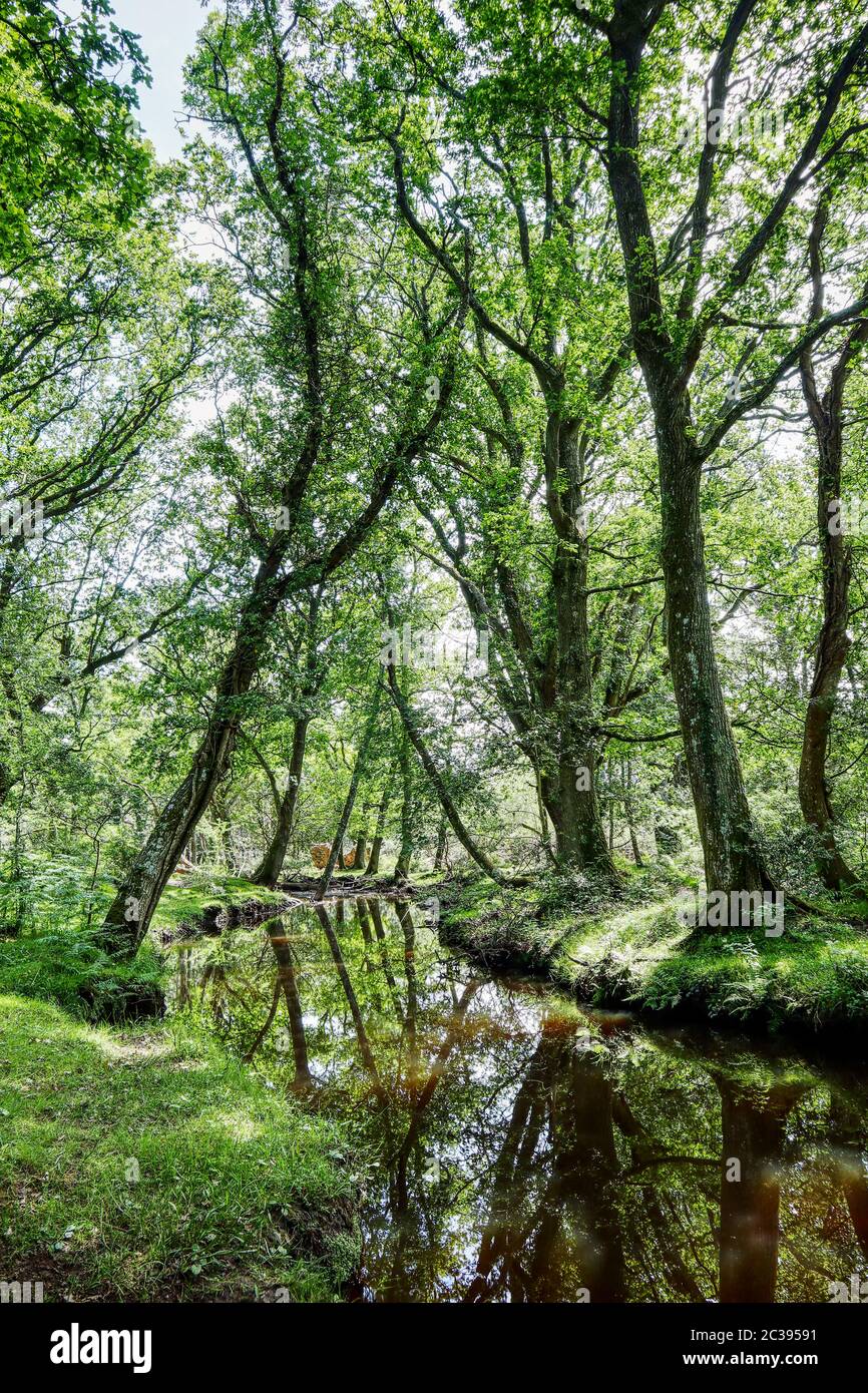 Ober water uk hi-res stock photography and images - Alamy