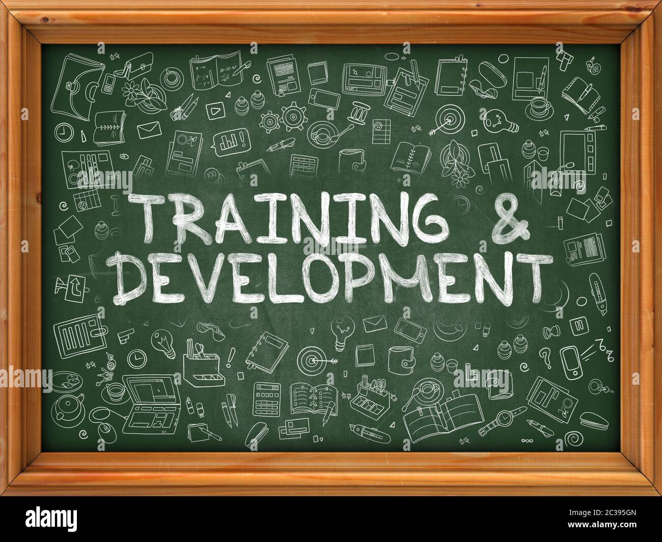 Training and Development - Hand Drawn on Chalkboard. Training and ...