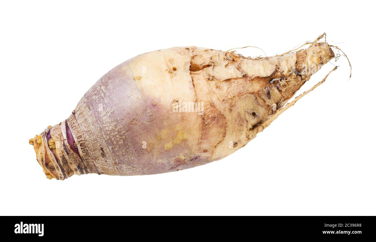 fresh rutabaga vegetable isolated on white background Stock Photo - Alamy