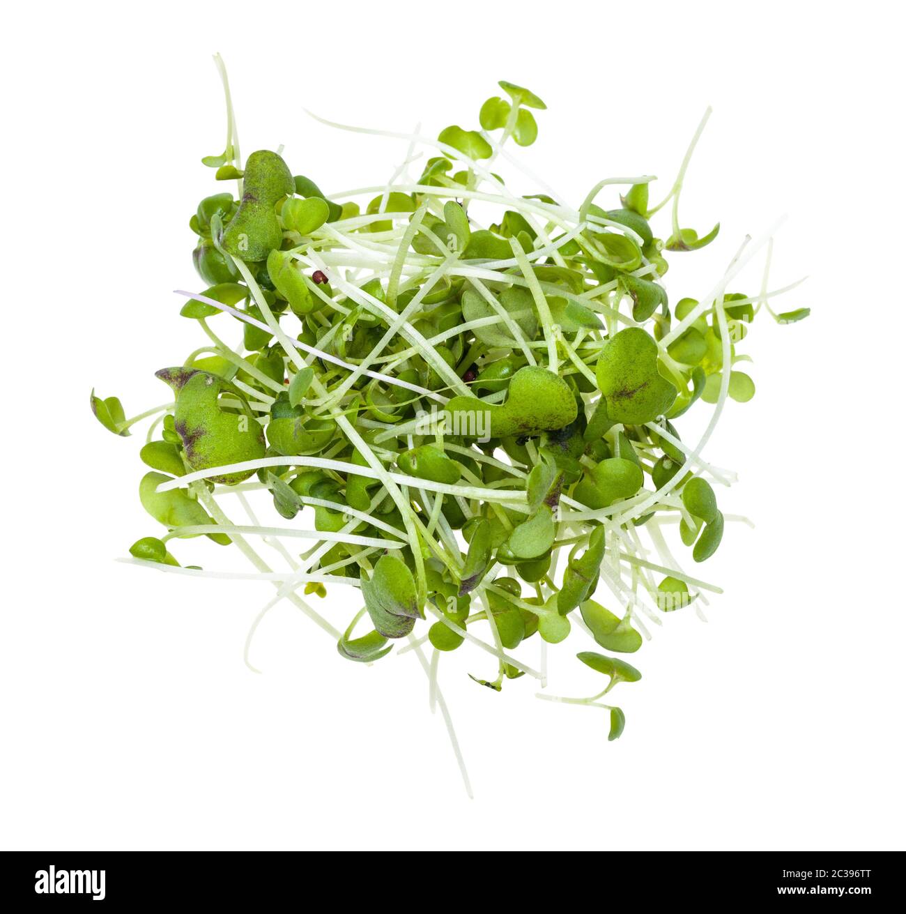 top view of pile from twigs of fresh green mustard cress plant isolated ...