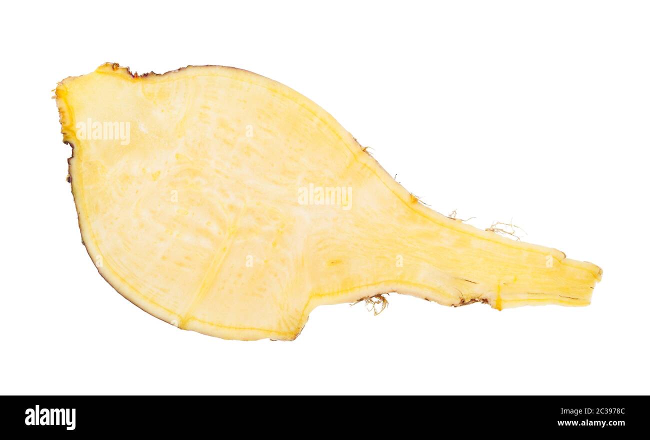 slice of fresh rutabaga root isolated on white background Stock Photo ...