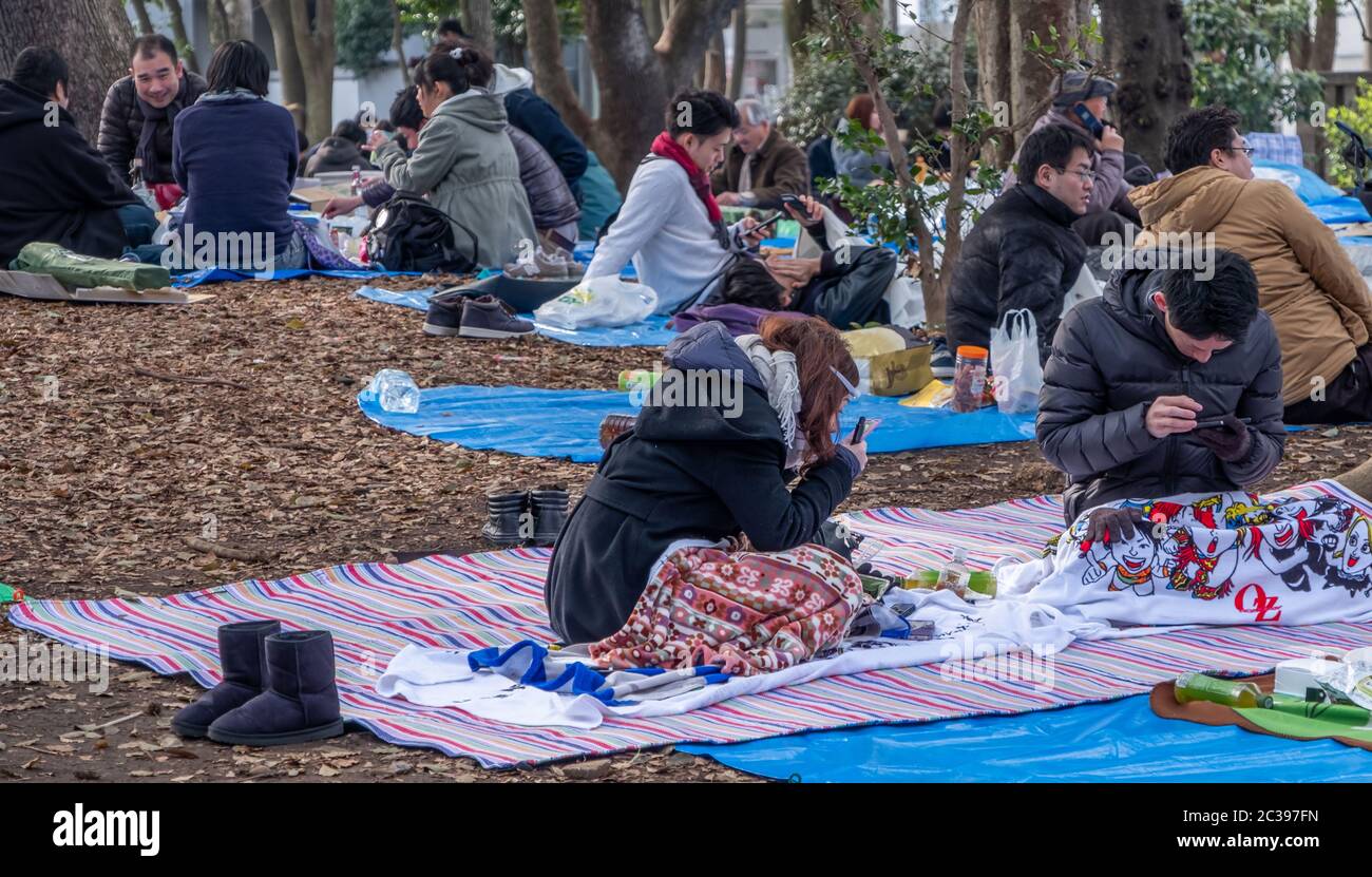 Japanese having cherry blossom viewing outdoor party picnic or hanami ...