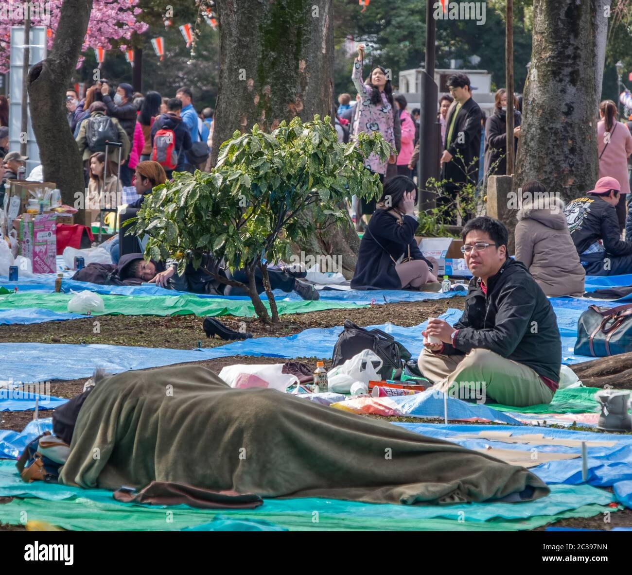 Tokyo ueno park hanami party hi-res stock photography and images - Alamy