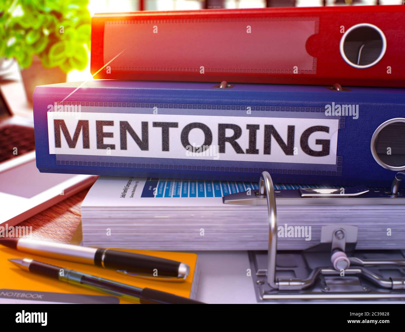 Introduction mentoring hi-res stock photography and images - Alamy