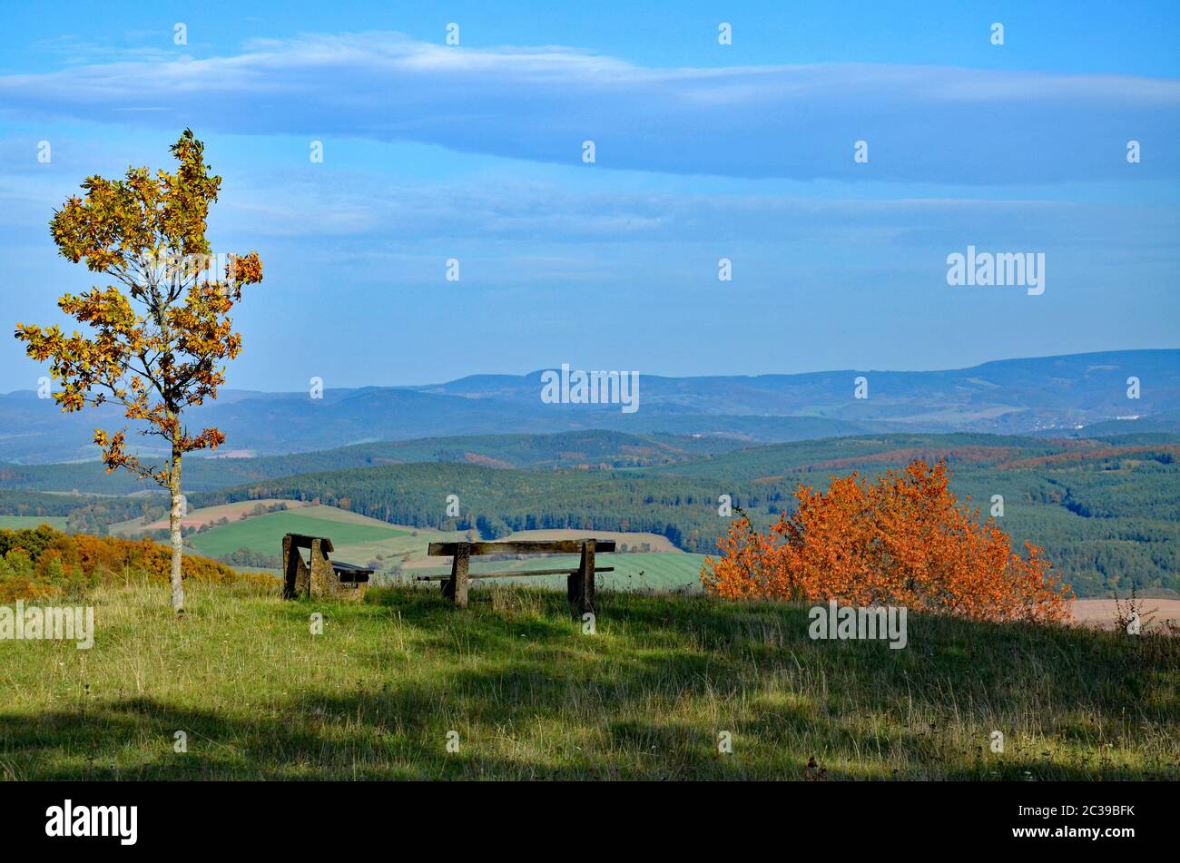 forest in the Thuringian RhÃ¶n Stock Photo - Alamy