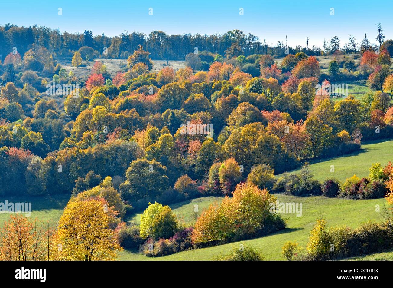 Thuringian highlands hi-res stock photography and images - Alamy