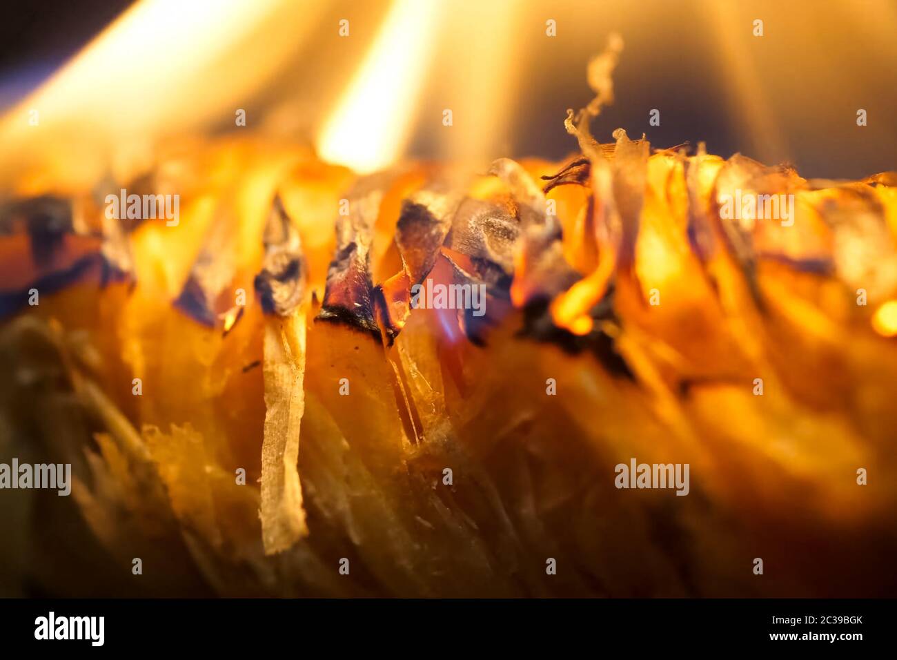 Bonfire ignition burning. Material for igniting coal Stock Photo - Alamy