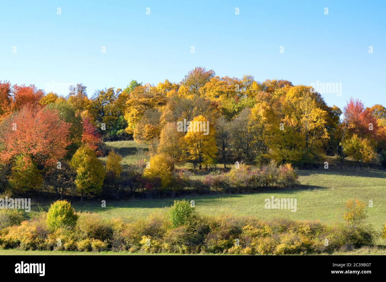 Thuringian highlands hi-res stock photography and images - Alamy
