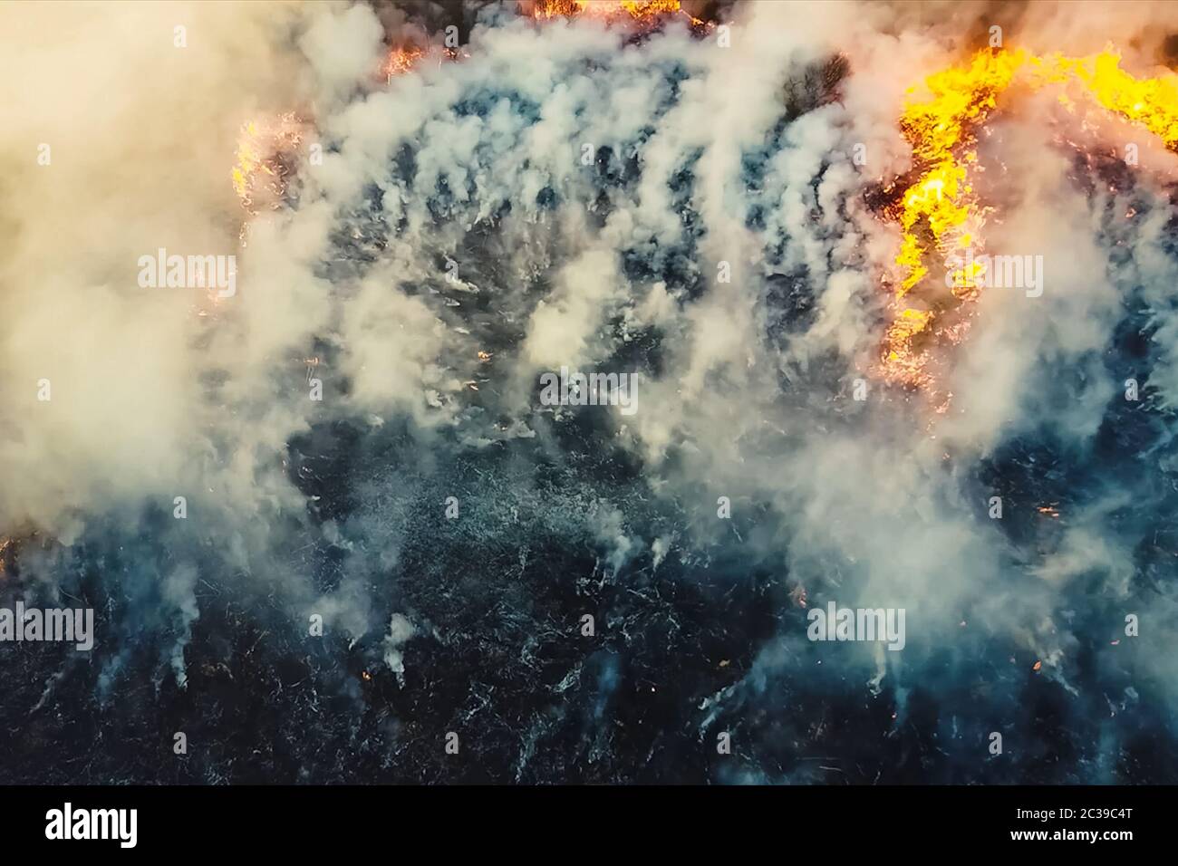 Siberia forest fires hi-res stock photography and images - Alamy