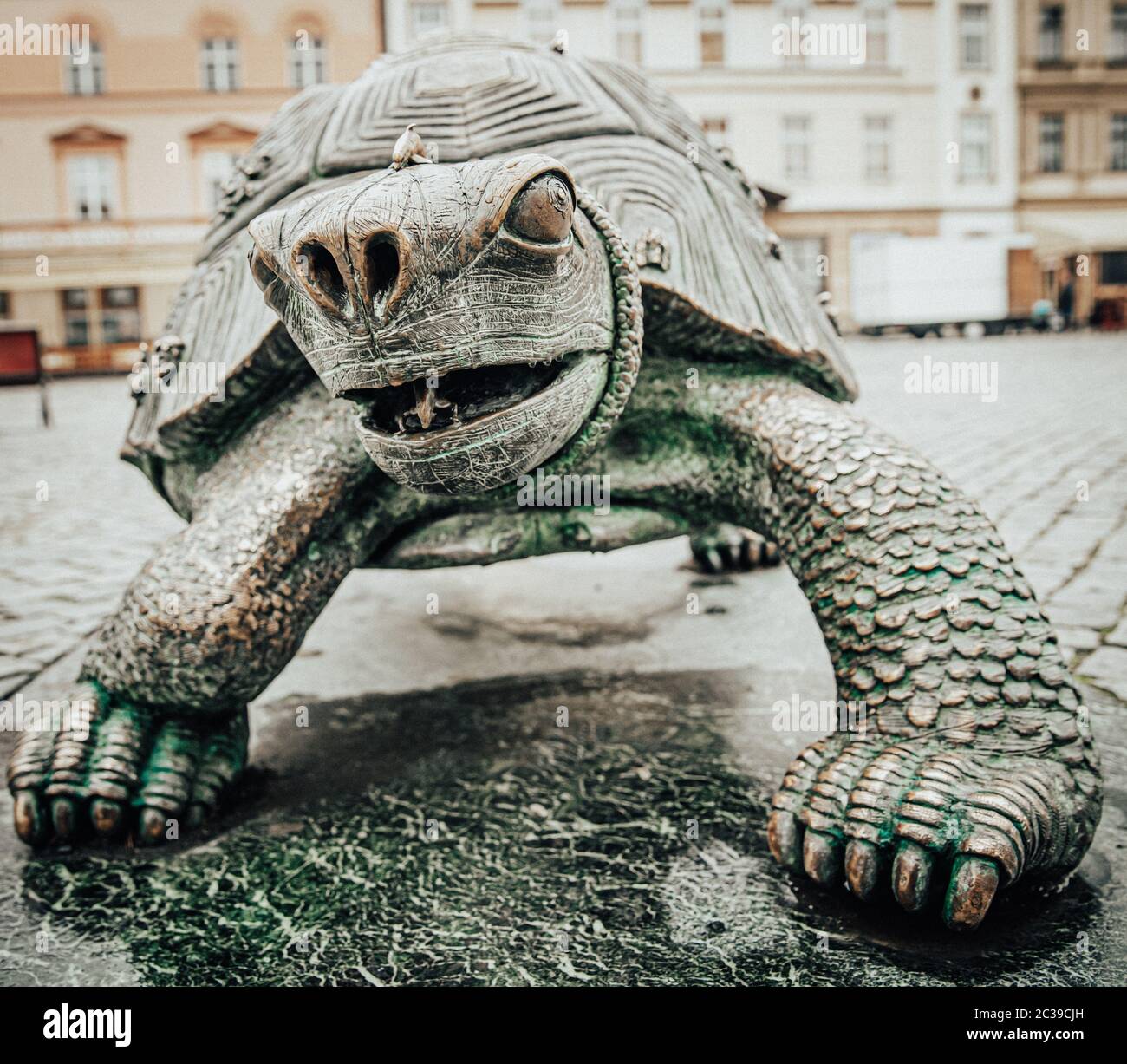 Monuments and streets in Olomouc, Czech Republic in summer Stock Photo ...