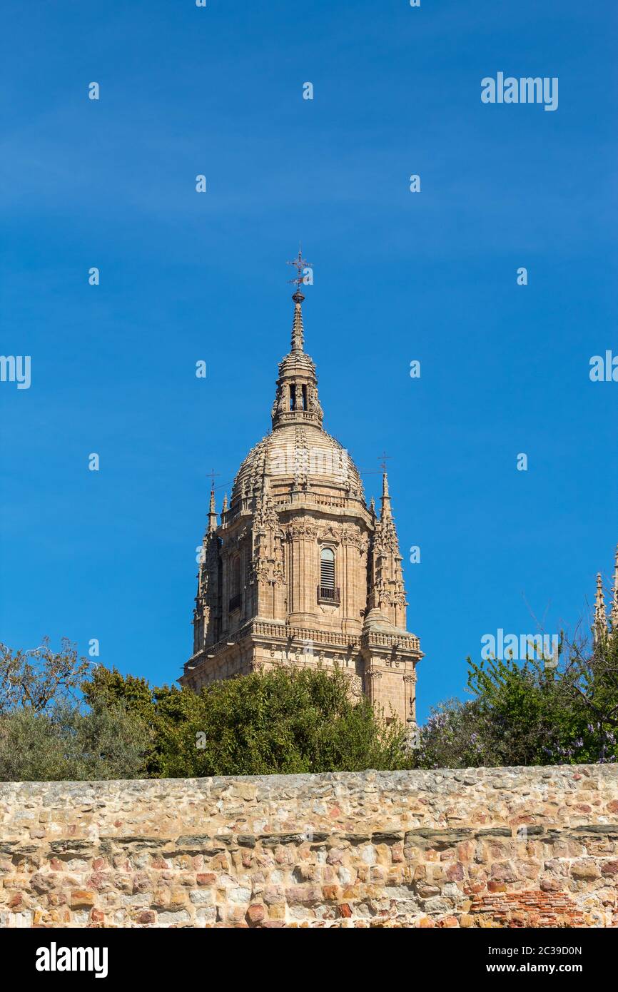 New Cathedral (Cathedral Nueva) dome in the old city of Salamanca, a ...
