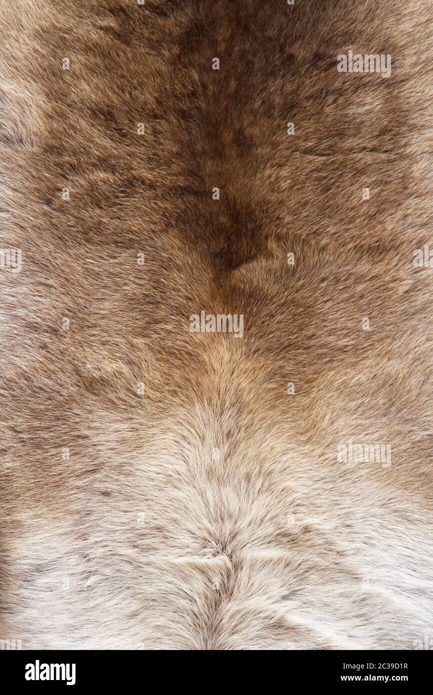 Fur material hi-res stock photography and images - Alamy