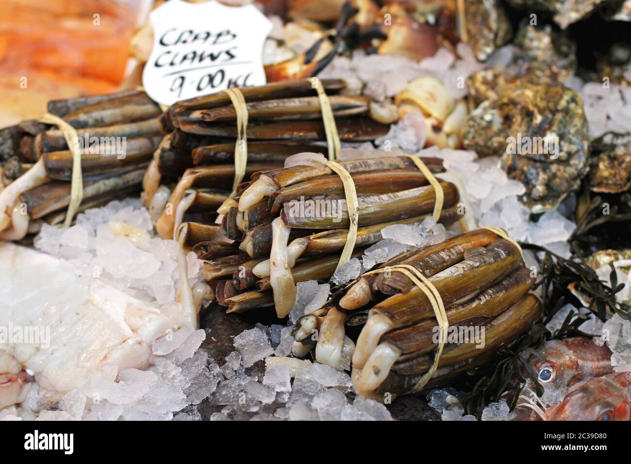 Razor clams seafood delicacy at fish market Stock Photo - Alamy