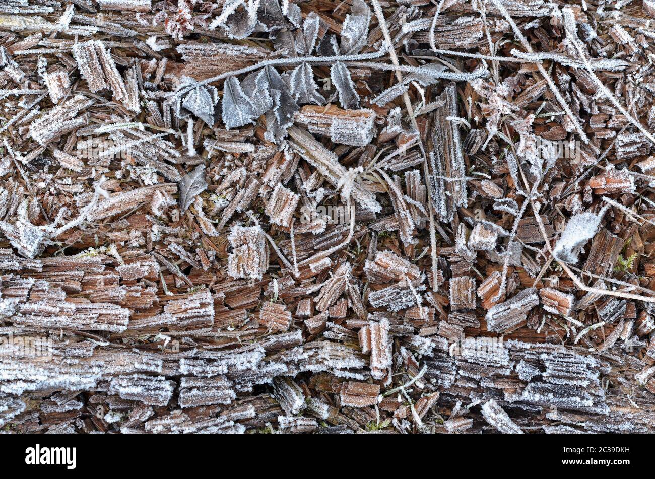 frozen natural materials Stock Photo - Alamy