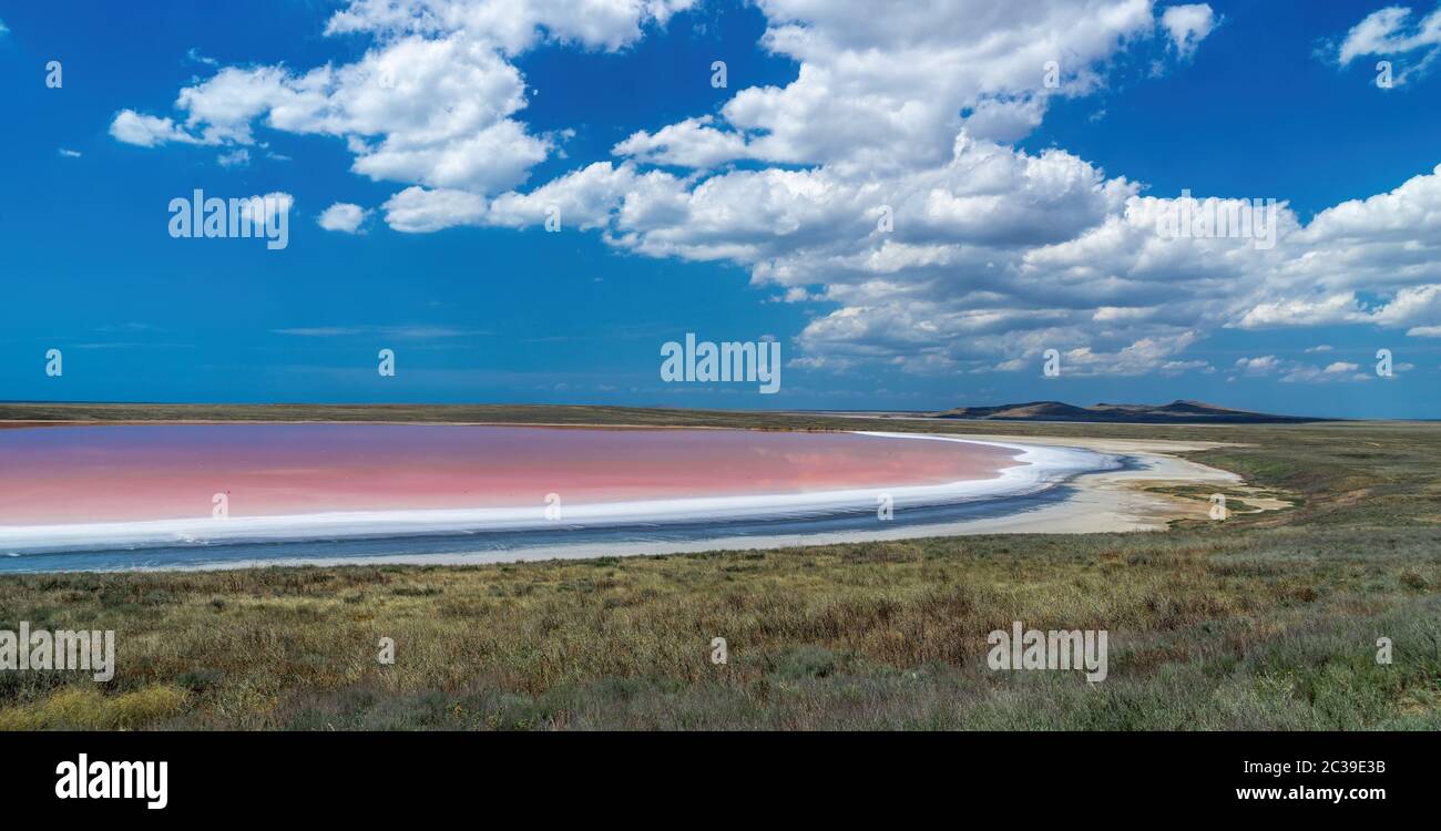 Brine and salt of a pink lake Koyash colored by microalgae Dunaliella ...