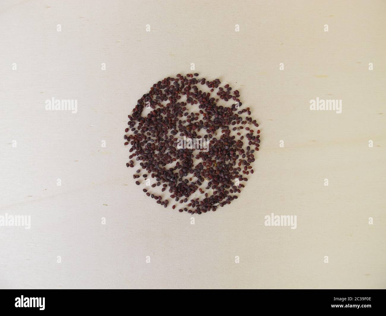 Edible brown-black seeds from wild field pennycress on a wooden board ...