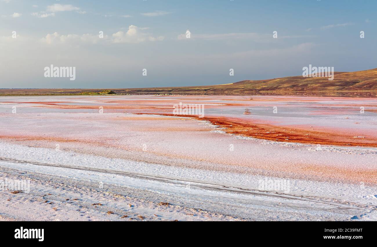 Brine and salt of a pink lake Koyash colored by microalgae Dunaliella ...