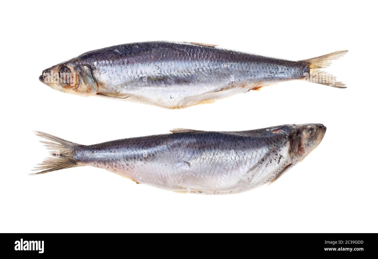 Atlantic herrings hi-res stock photography and images - Alamy